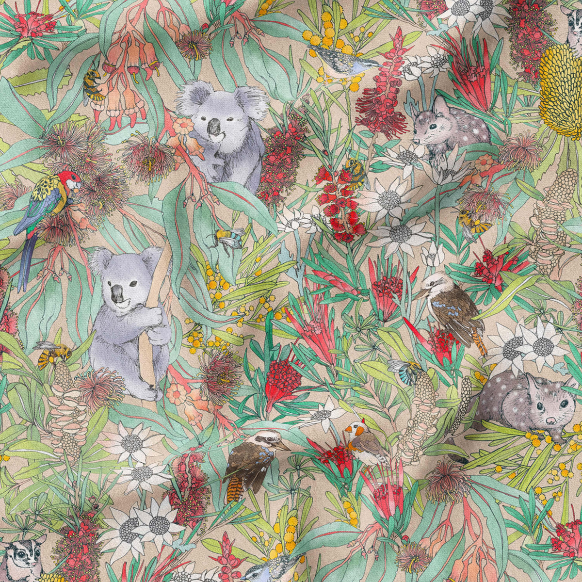 SHOP - Australian Koala Fabric Online | Woven and Knits – Melco Fabrics